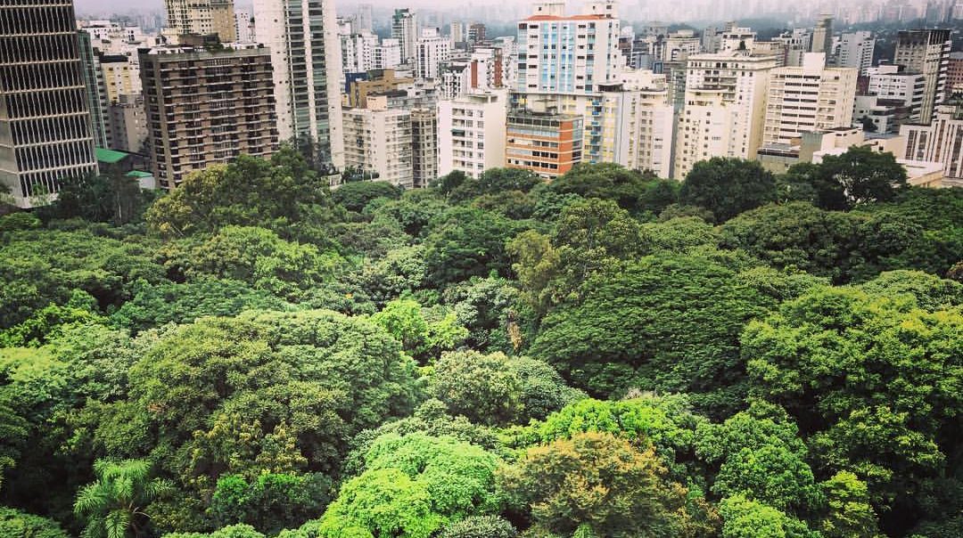 Edital de concessão dos parques Mário Covas e Trianon é republicado ...
