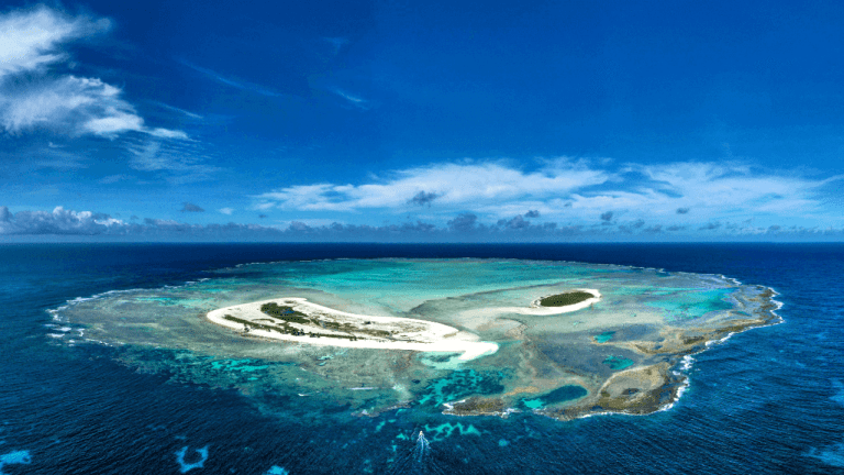 Conheça Zélia Brito e sua dedicação ao Atol das Rocas