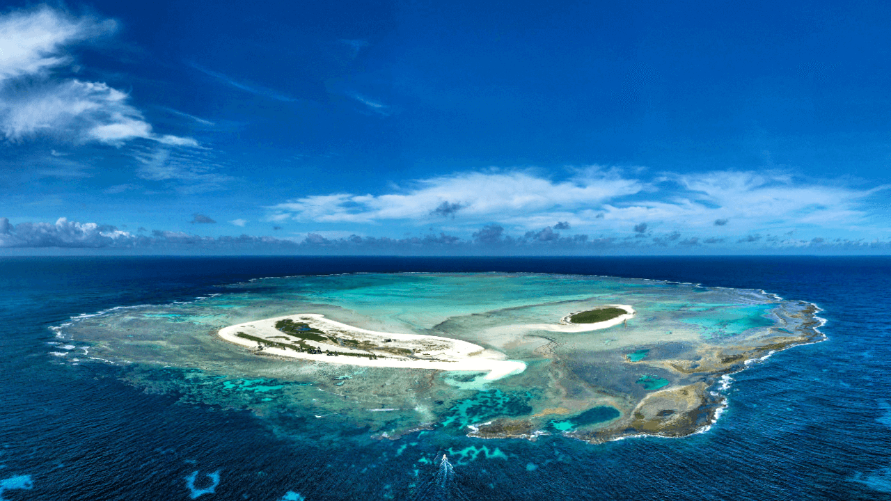 Conheça Zélia Brito e sua dedicação ao Atol das Rocas