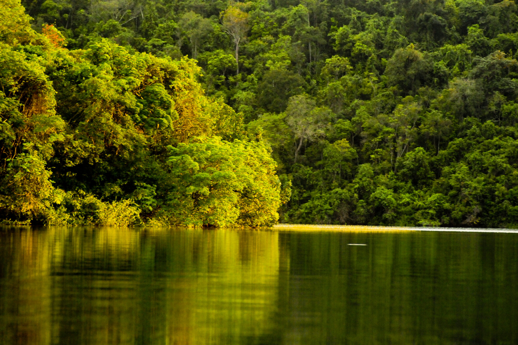 Conheça o Parque Estadual do Rio Doce