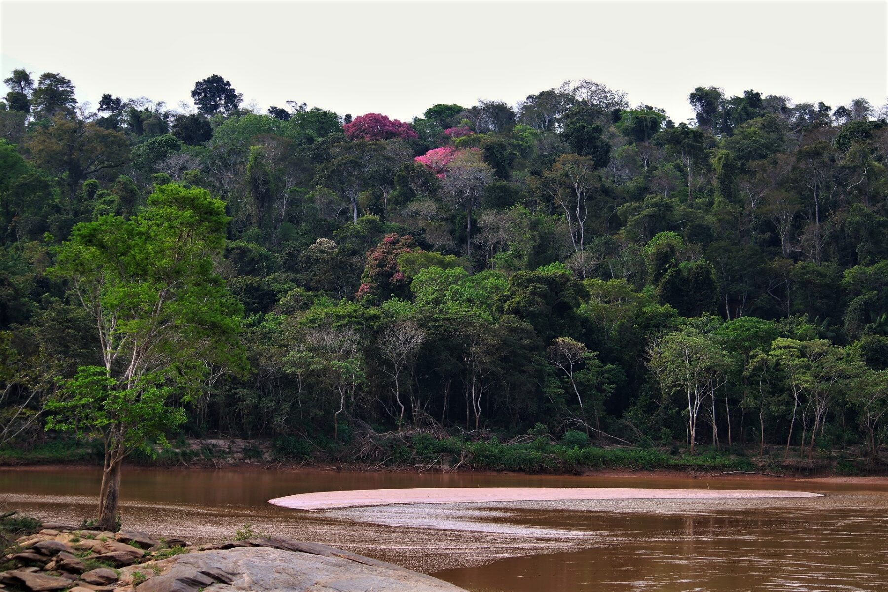 Conheça o Parque Estadual do Rio Doce