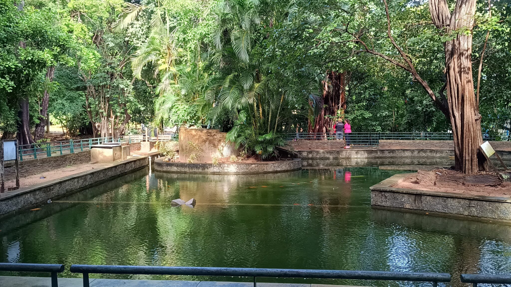 Parque das Dunas: um dos parques mais visitados do Brasil