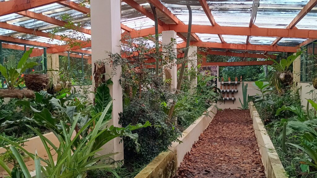 Parque das Dunas: um dos parques mais visitados do Brasil