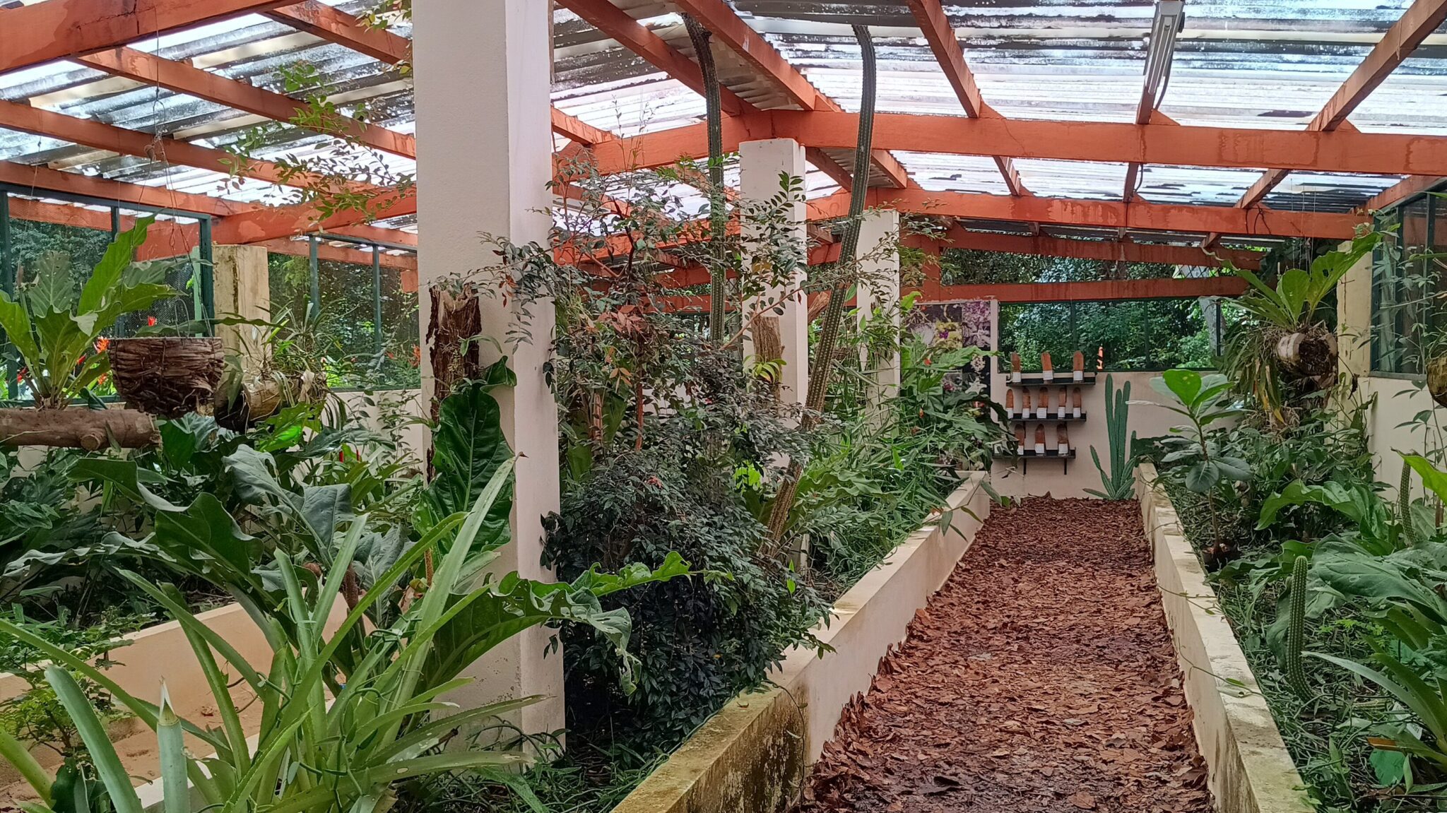Parque das Dunas: um dos parques mais visitados do Brasil